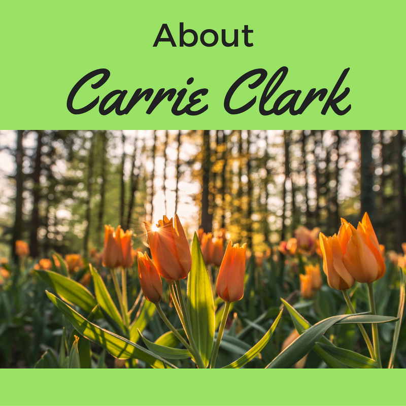 About Carrie Clark - Speech And Language Kids